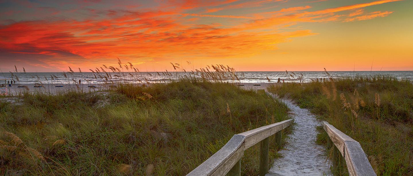 nyctotpa | Tampa International Airport